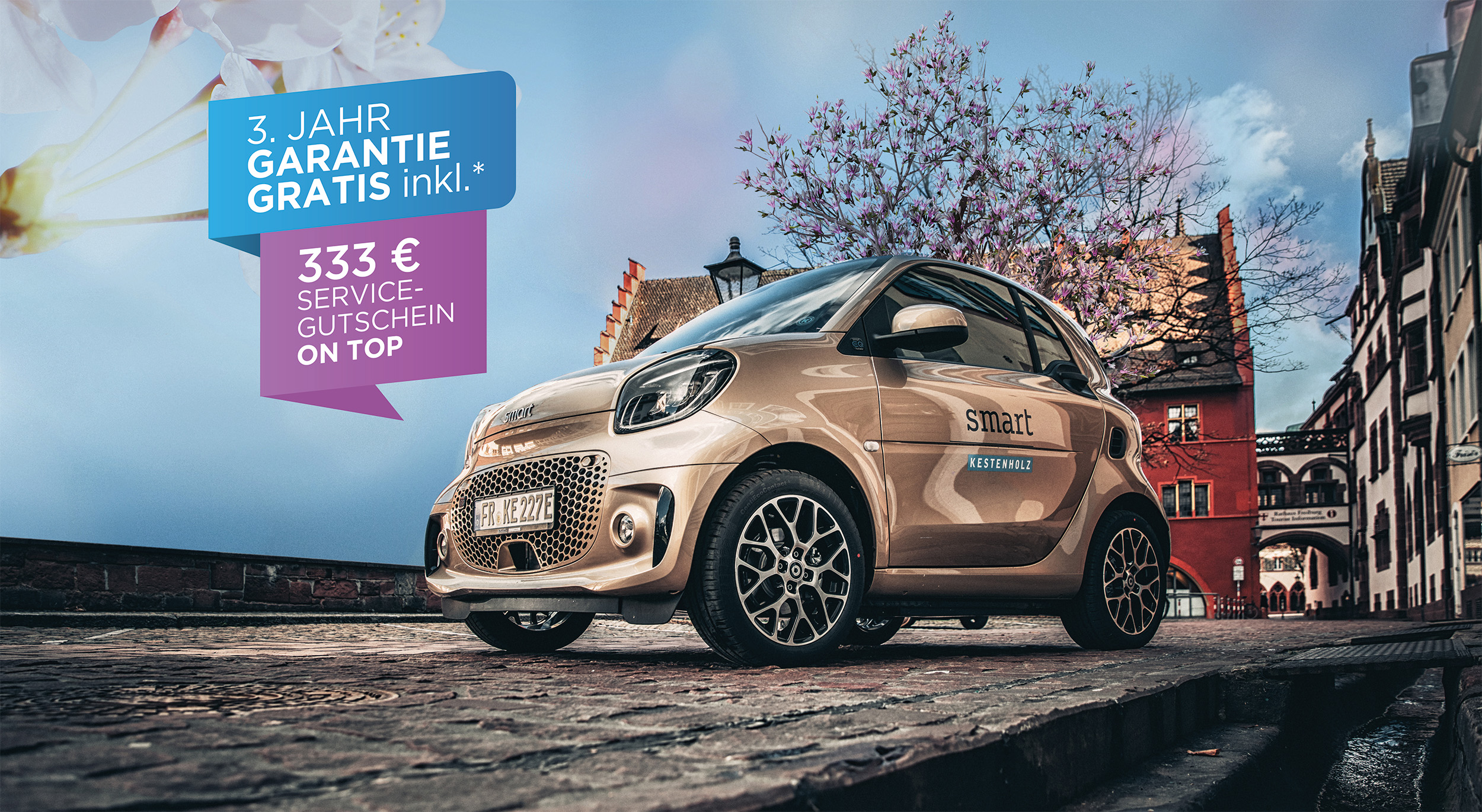 Elektroautos von smart bei Kestenholz | Deutschland